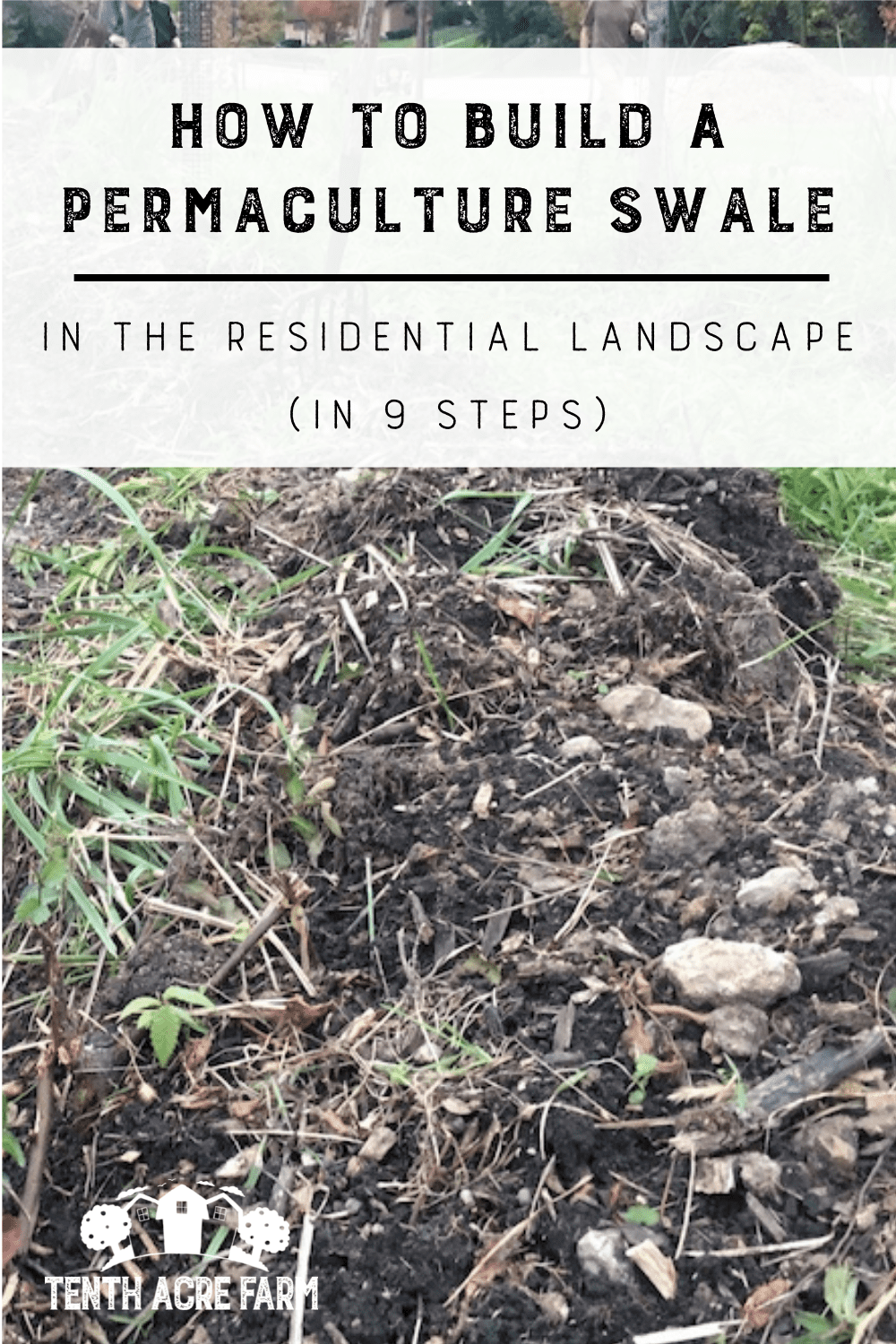 How to Build a Swale in the Residential Landscape [+ Free Download ...