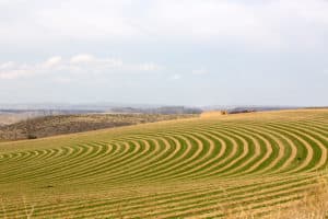 How to Grow on a Slope with Contour Gardening - Tenth Acre Farm