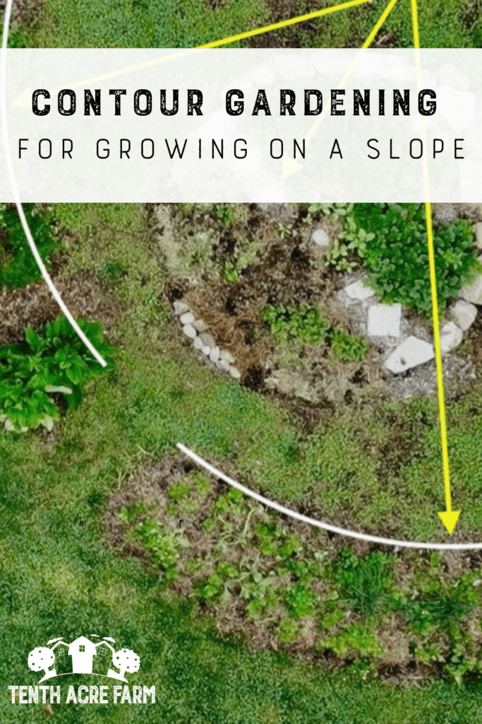 Contour Gardening for Growing on a Slope - Tenth Acre Farm