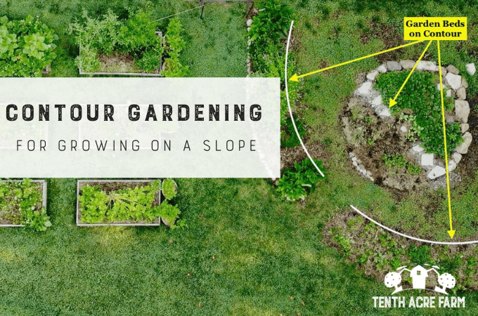 Contour Gardening for Growing on a Slope - Tenth Acre Farm