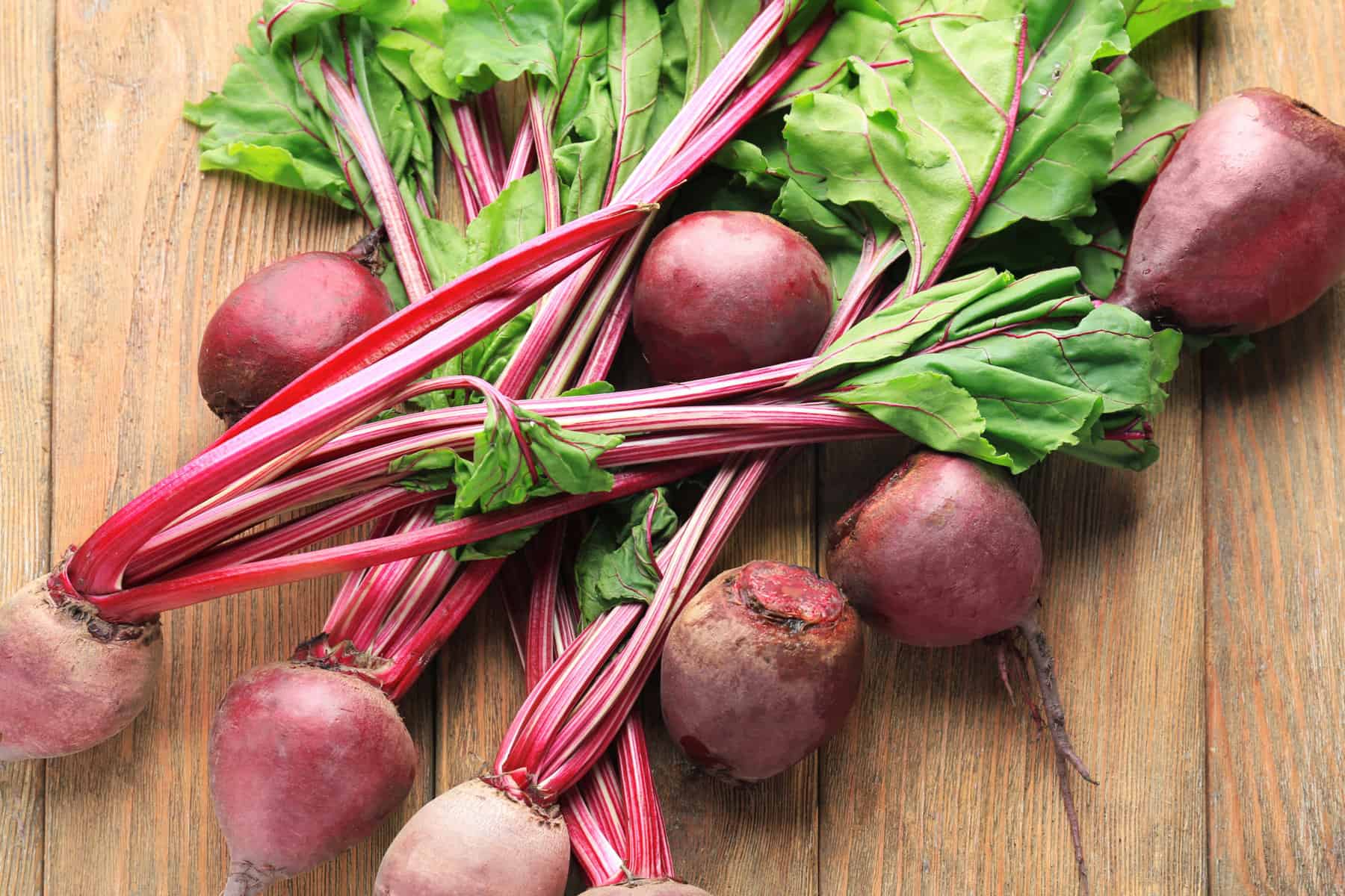 Growing and Harvesting Beets Year-Round - Tenth Acre Farm