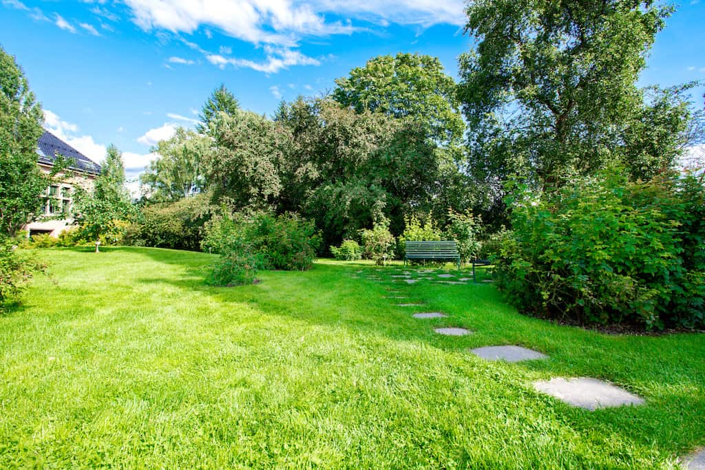 What Do You See? How to Use the Power of Observation in Permaculture ...