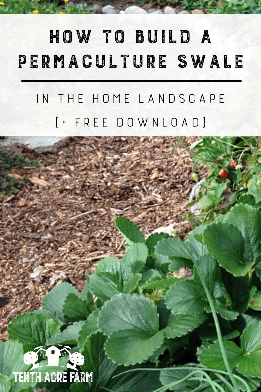 How to Build a Swale in the Home Landscape [+ Free Download] - Tenth ...