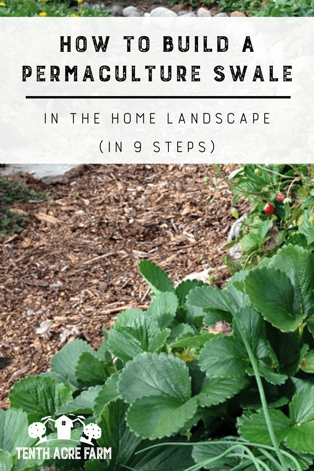 How to Build a Swale in the Home Landscape [+ Free Download] - Tenth ...
