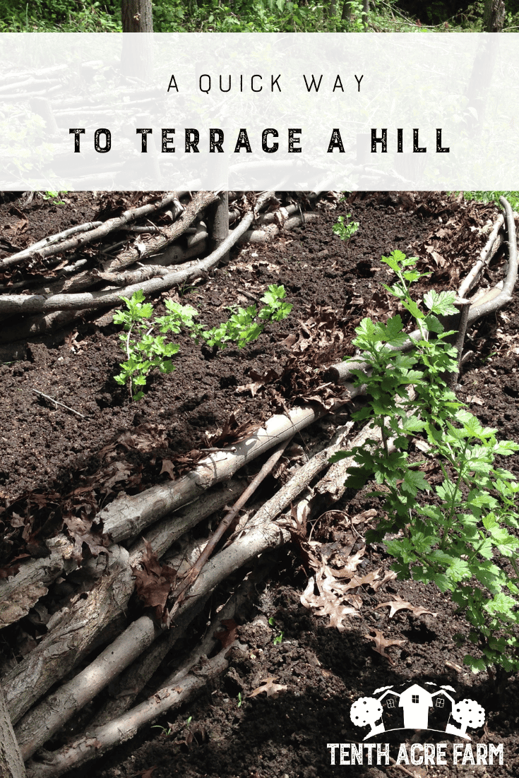 A Quick Way to Terrace a Hill [+ Free Download] - Tenth Acre Farm
